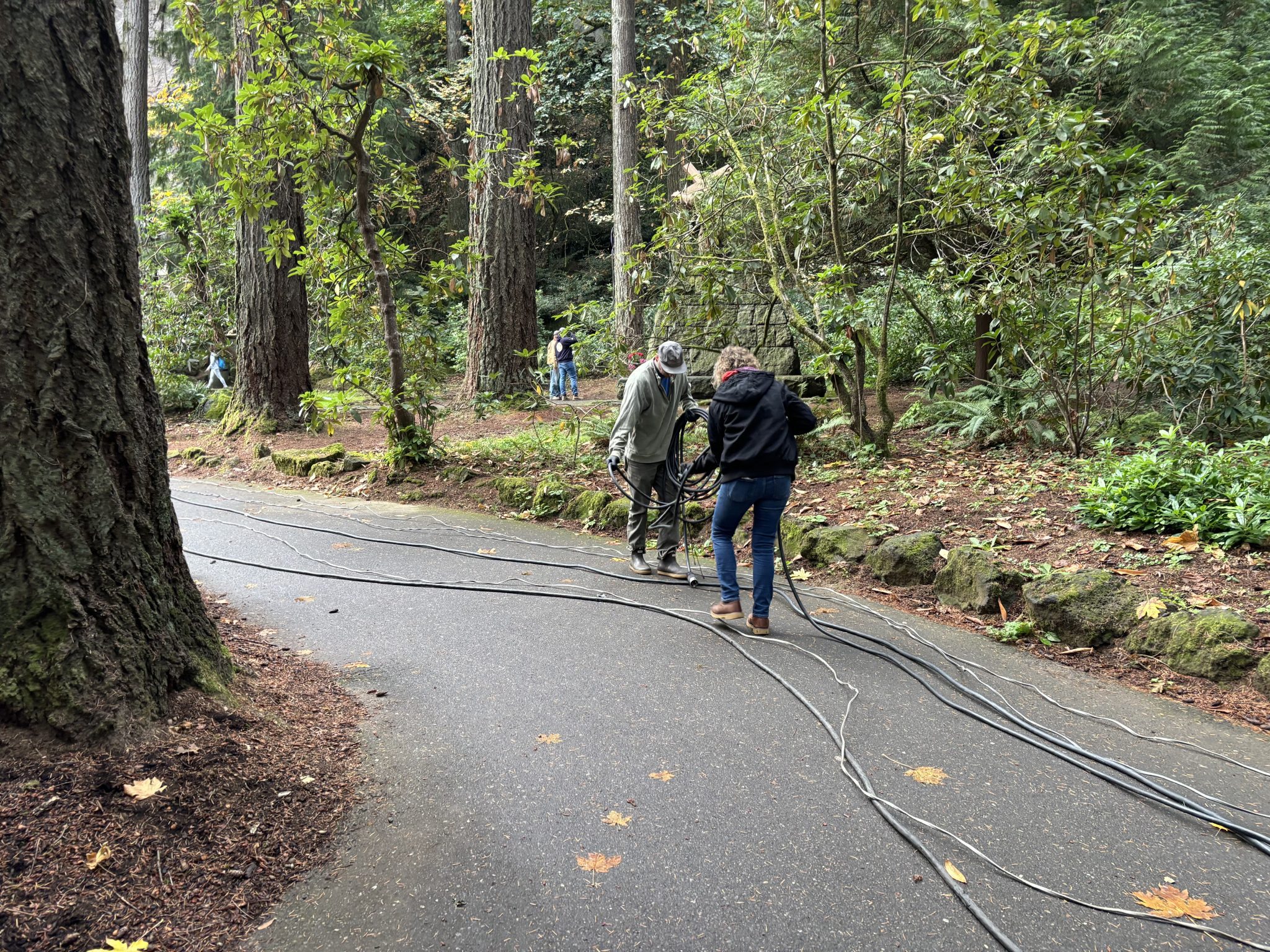 The Grotto 2024 Lighting Set-up — IBEW Local 48 Electricians Union ...