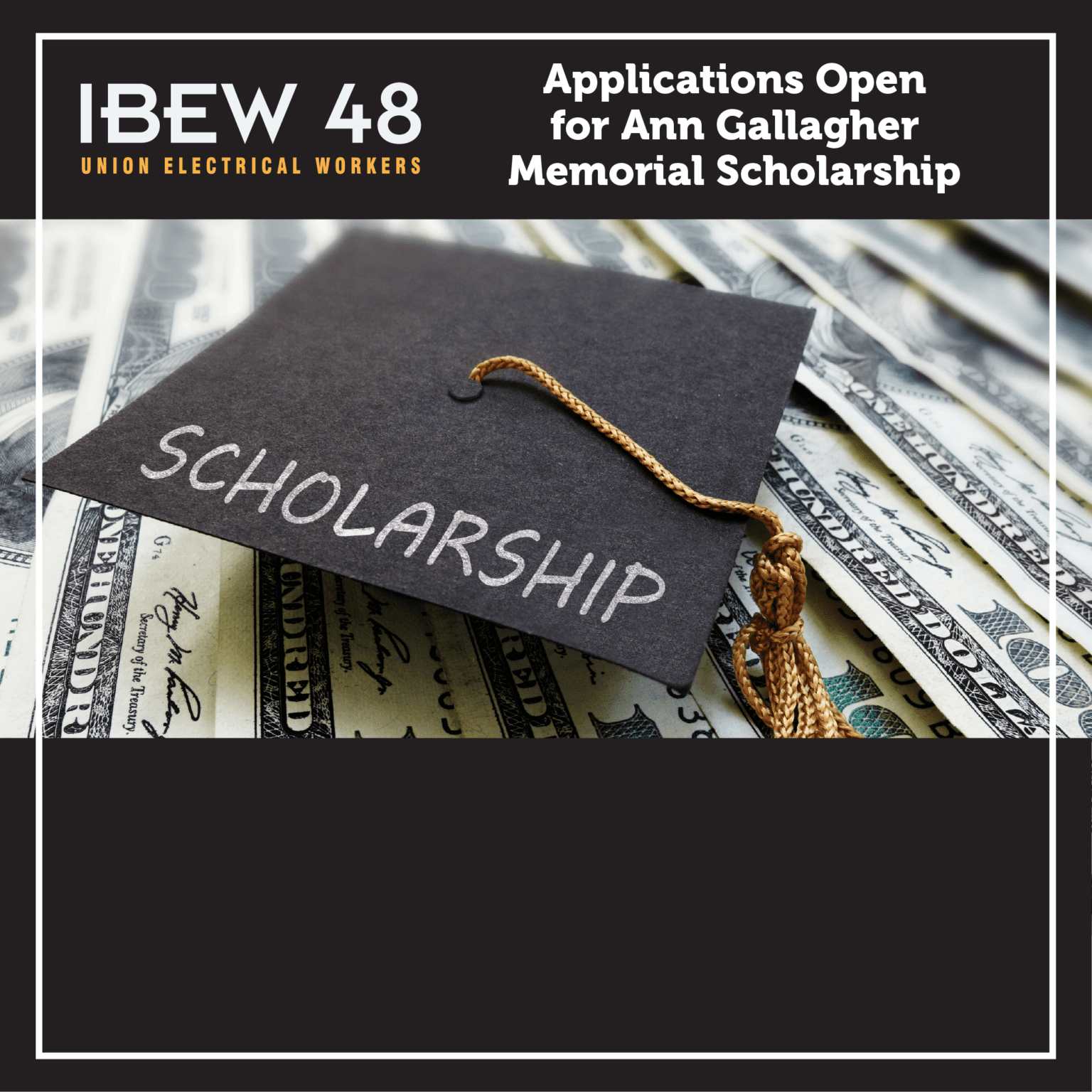 Ann Gallagher Memorial Scholarship Applications Open — IBEW Local 48 ...
